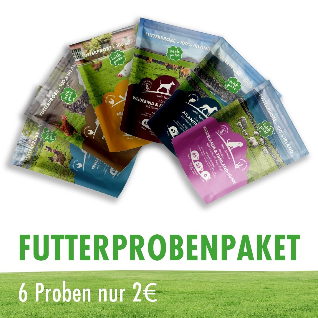 Hundesnacks von Irish Pure - Hundefutter - Irish Pure