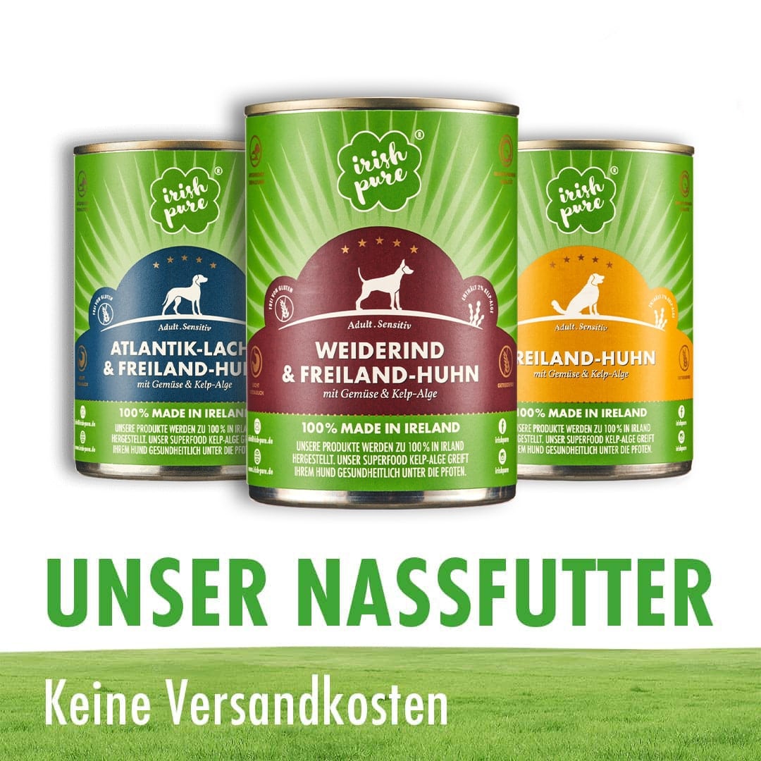 Starterset Nassfutter - Hundefutter - Irish Pure