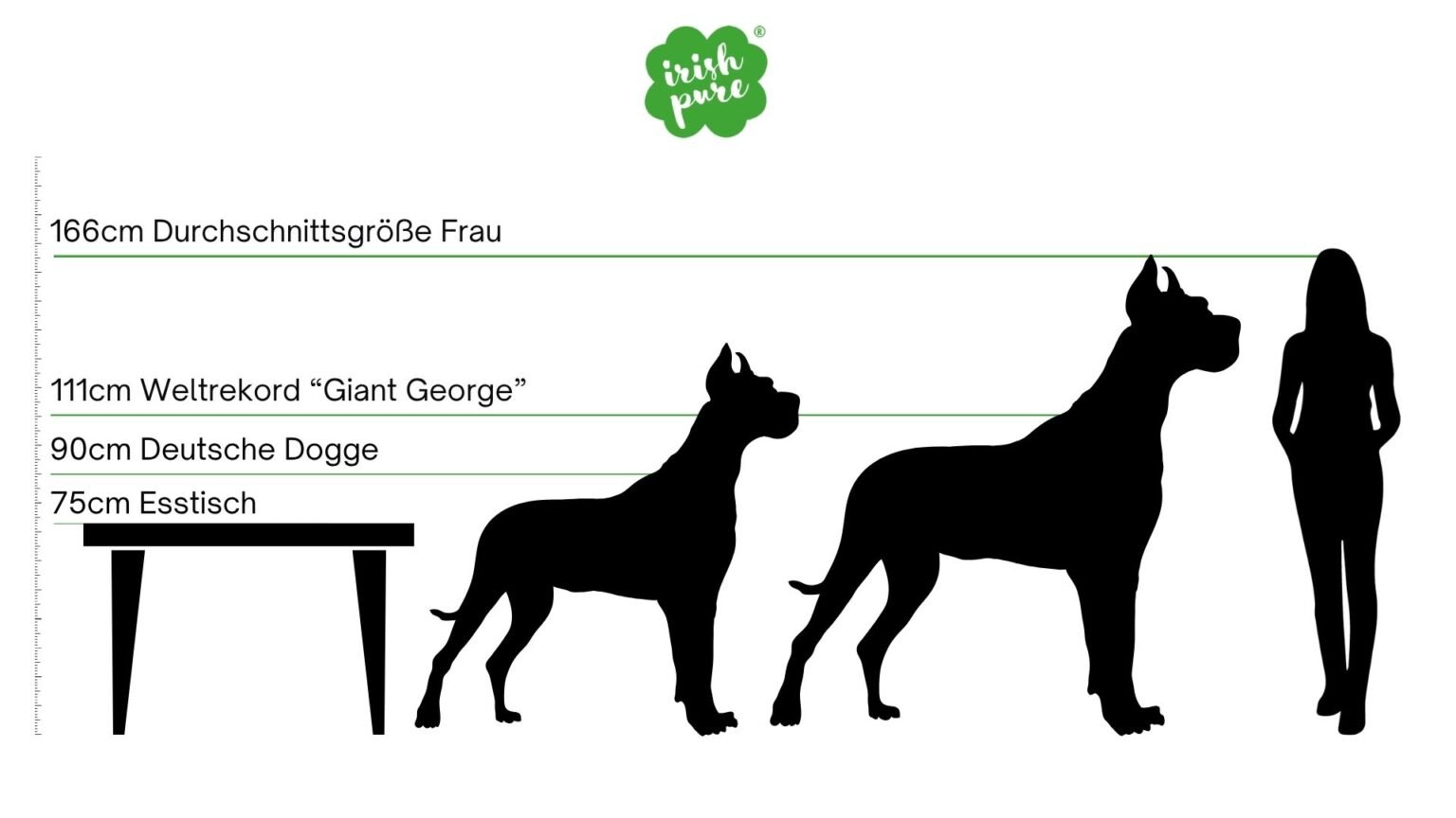 Die 10 größten Hunderassen der Welt [2025]