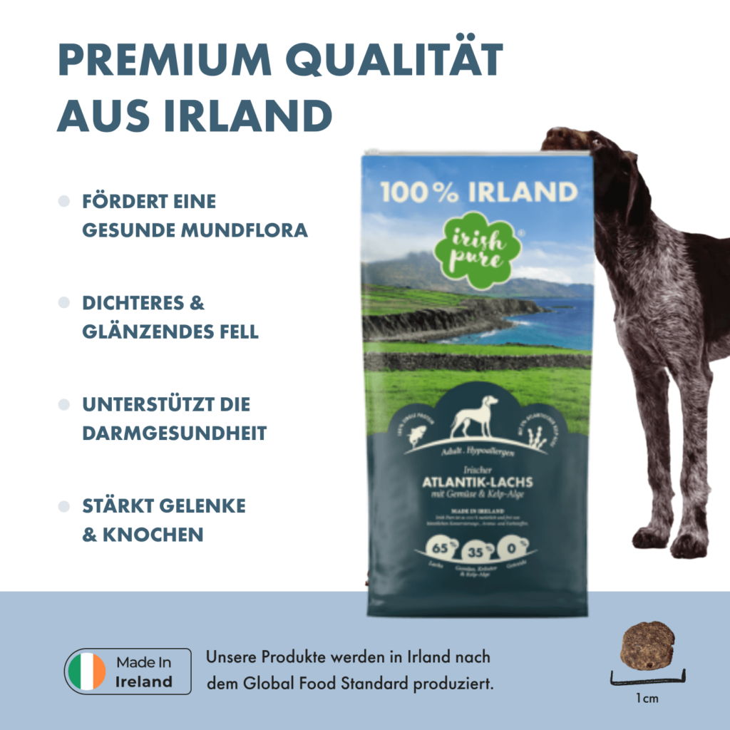 Hypoallergenes Hundefutter mit Lachs und Gemüse | Irish Pure